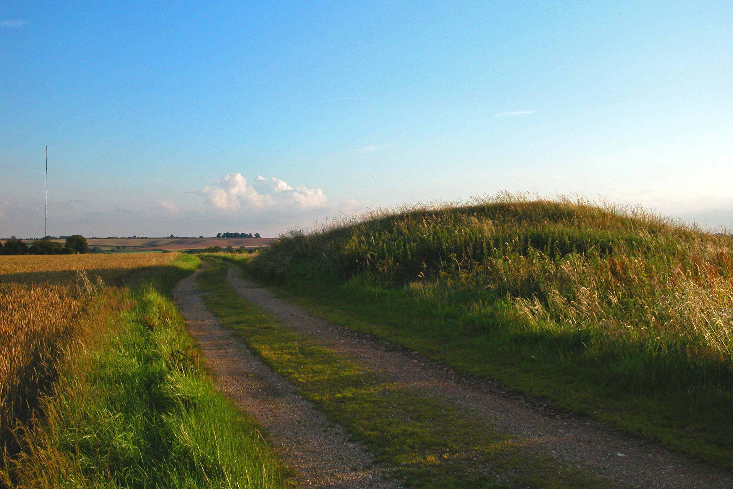 Tennyson Trail – Tennyson Country